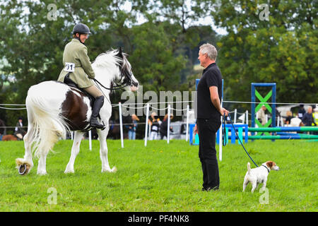 Martin Clunes home, West Dorset, Britain, UK Stock Photo - Alamy