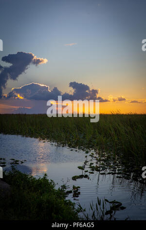 Florida Alligator Alley Sunset also I-75 Stock Photo - Alamy