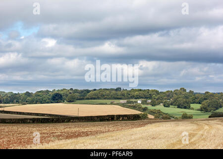 British quintessential countryside after the harvest Stock Photo - Alamy