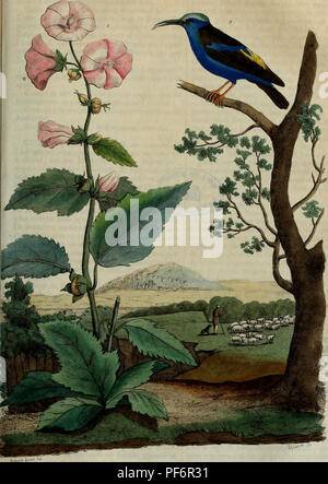 This pictorial dictionary covers various natural phenomena, offering ...