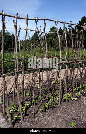 HAND MADE RUSTIC RUNNER BEAN FRAME Stock Photo - Alamy