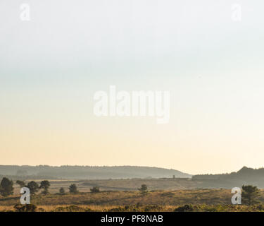 Evening light over Woodbury Common in east Devon, south west England ...