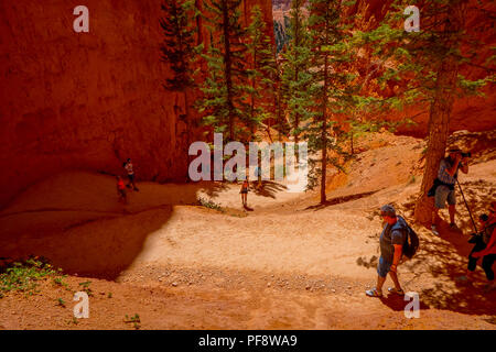 BRYCE CANYON, UTAH, JUNE, 07, 2018: Unidentified people at the descent ...