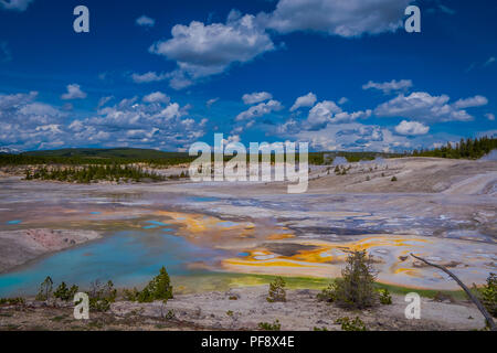 Steaming opaque thermal pools at Norris Geyser Basin. Yellowstone ...