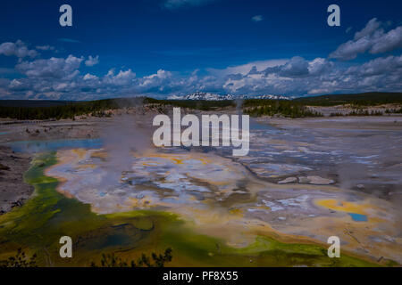 Steaming opaque thermal pools at Norris Geyser Basin. Yellowstone ...
