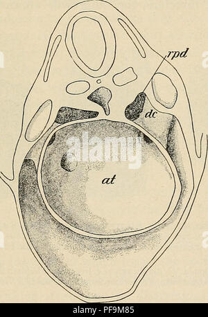 A scientific manual on human embryology, explaining early development ...