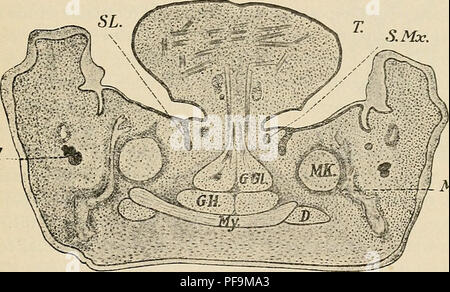 This textbook covers human embryology and the development of the human ...