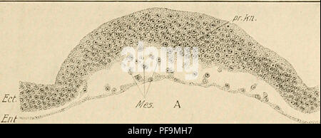 *The Development of the Chick* details the embryological development of ...