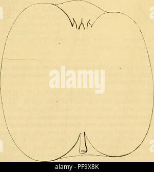 This dictionary provides descriptions and illustrations of both old and ...