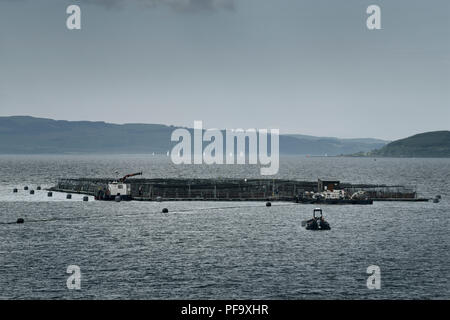 On the Lochaline to Fishnish (Isle of Mull) car ferry 'Loch Fyne' at ...