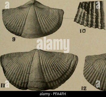 This geological study focuses on the Devonian period in Missouri ...