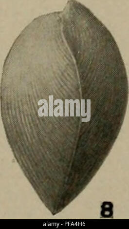 This geological study of Missouri’s Devonian period provides detailed ...