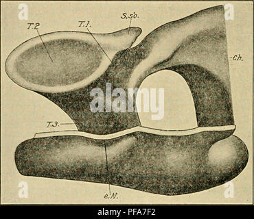 . The development of the chick; an introduction to embryology . ear the ...