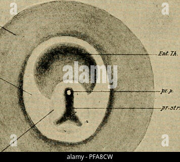 *The Development of the Chick* is an introduction to embryology ...