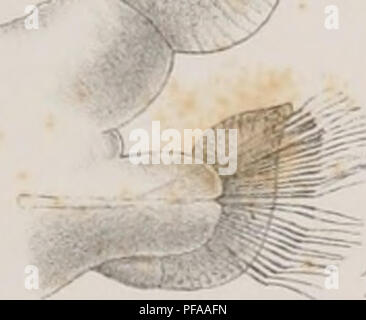 This second French Antarctic expedition, led by Jean Charcot, explored ...