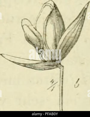 This agricultural reference book provides detailed information on ...