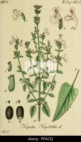 Jacob Sturm's *Deutschlands Flora* provides detailed botanical ...