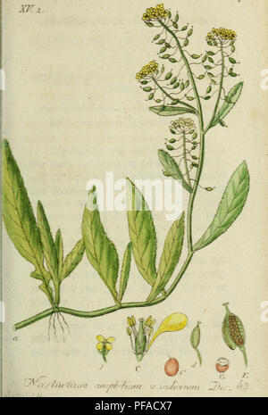 Jacob Sturm’s *Deutschlands Flora in Abbildungen nach der Natur* is a ...