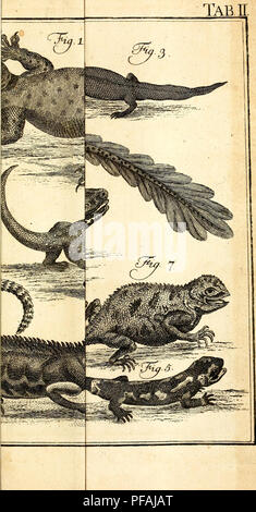 An illustration from Carl Linnaeus' sexual system of classification ...