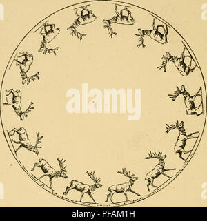 The zoopraxiscope - Horse galloping Stock Photo - Alamy