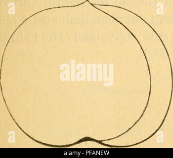 The Pomology Dictionary provides detailed descriptions and ...