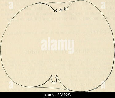 This dictionary of pomology covers the history, description, and ...