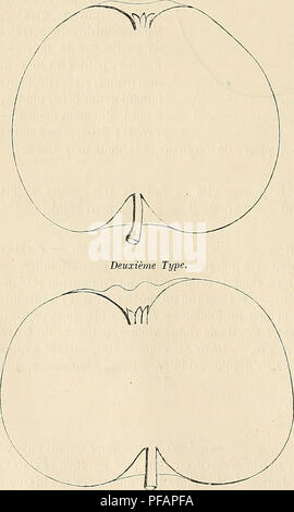 The 'Dictionnaire de Pomologie' offers a detailed history, description ...