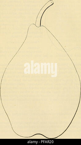 This dictionary of pomology provides detailed descriptions and ...