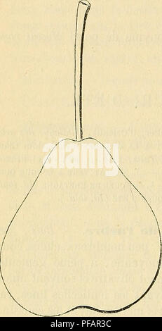 This dictionary on pomology contains detailed descriptions and ...
