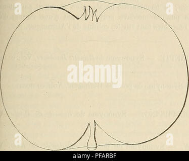 This French pomology dictionary provides a detailed description of ...