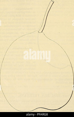 This French dictionary of pomology provides detailed descriptions ...