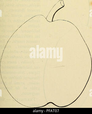 This dictionary of pomology provides detailed descriptions and ...