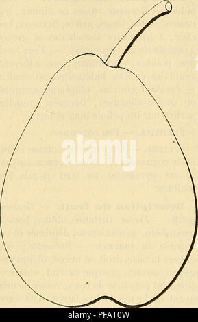 This dictionary of pomology provides detailed descriptions and ...