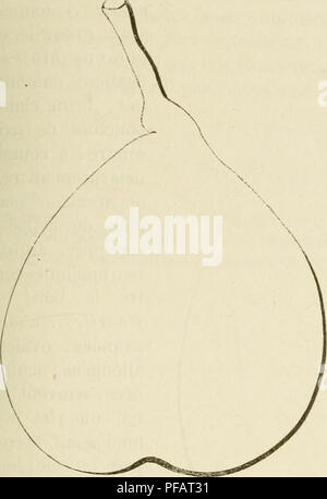 This dictionary of pomology offers detailed histories, descriptions ...