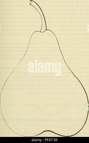 This French pomology dictionary provides detailed descriptions of ...