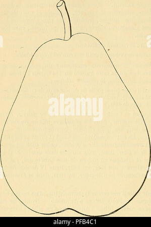 This French pomology dictionary provides a detailed description of ...