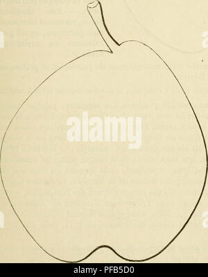 This French dictionary of pomology provides detailed descriptions and ...