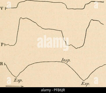 This illustration from a physiology dictionary explains the optical ...