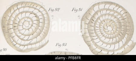 A geological description of Java and Madura, focusing on the volcanic ...