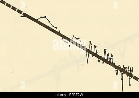 This study focuses on the use of spectral models to analyze and predict ...