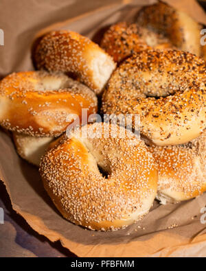 Variety of assorted authentic New York style Bagels with seeds in a ...