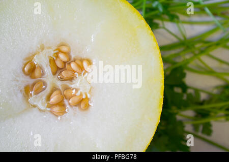 Galia melon skin over parsley background. Closeup Stock Photo - Alamy