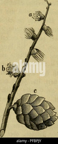 This German guide provides assistance in identifying and classifying ...