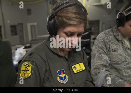 U.S. Army Lt. Col. Renee L. Howell, commander of troops, Public Health ...