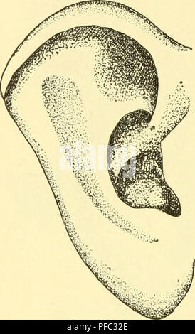 This text examines human anatomy in the context of evolutionary history ...