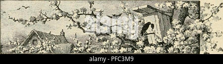 . Der Ornithologische Beobachter. Birds; Birds. 6, Ein Nistkasten ...