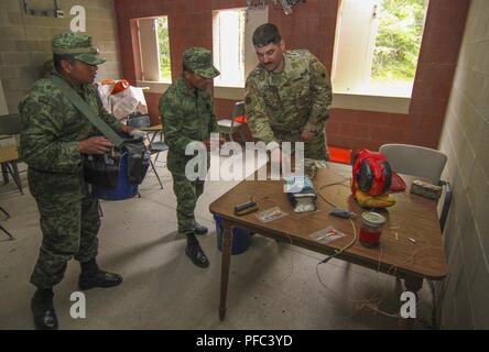 U.S. Army Military Police, 472nd Military Police Company, 793rd MP ...