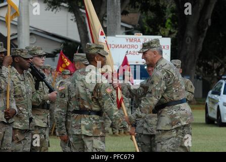 Brig. Gen. Charles R. Hamilton, commander of the 8th Theater ...