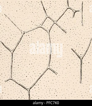 This catalogue focuses on the Tunicata species housed in the Australian ...
