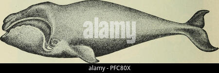 This book provides an overview of oceanography, with a focus on the ...